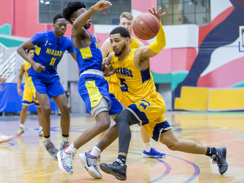 Meet the Monroe Mustangs - New Rochelle Campus Athletics