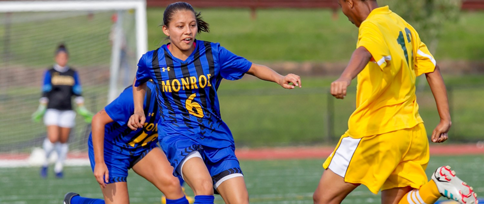 Meet the Monroe Mustangs - New Rochelle Campus Athletics